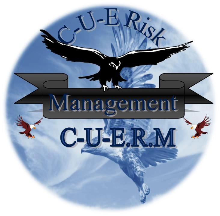 Business Listing for CUE RISK MANAGEMENT - Tender Bulletins