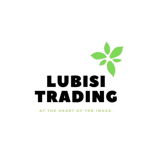 Business Listing for LUBISI TRADING CO - 2020/927505/07 - Tender Bulletins