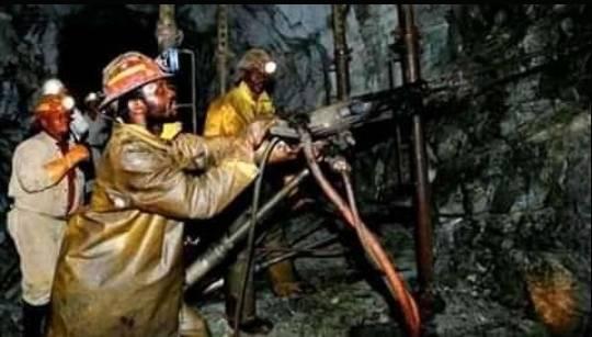 Business Listing for Mining skills and operators training - Tender ...